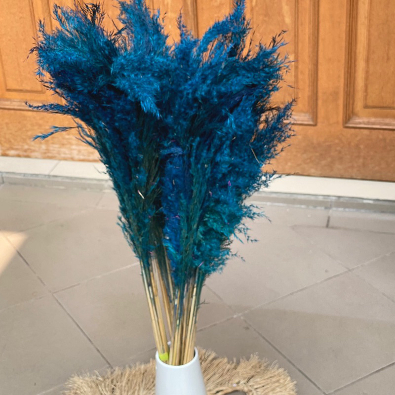 Jual Dried Flower Pampas Bunga Bulu Kering Warna Buket Rustik Vintage ...
