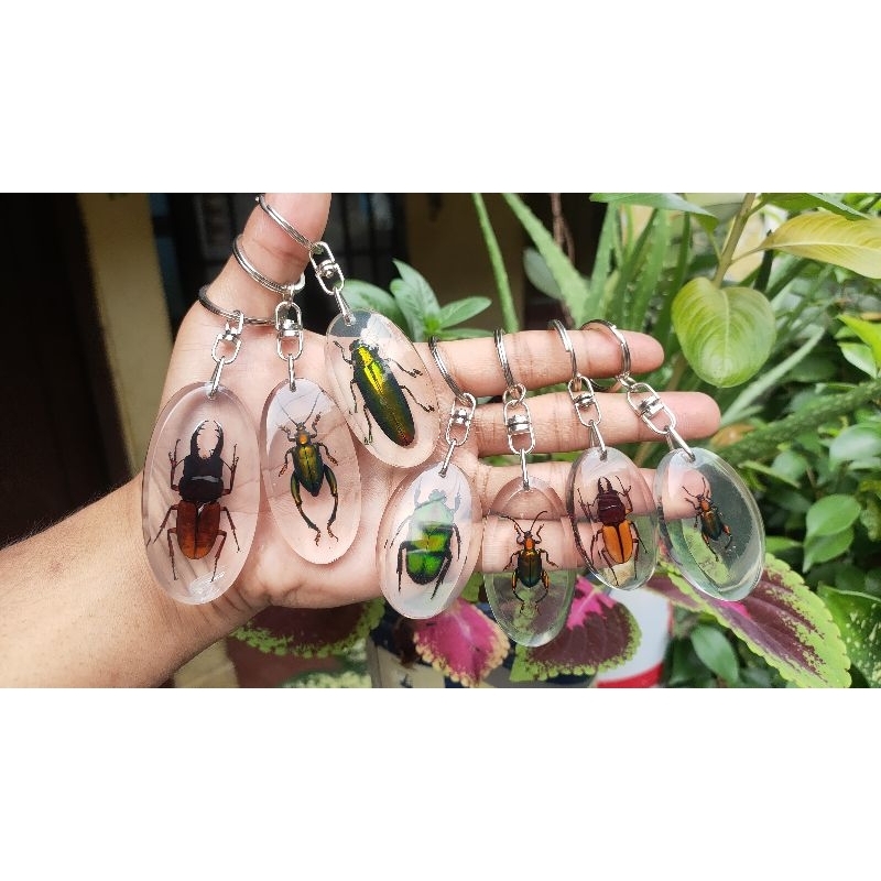 Jual gantungan resin serangga asli | Shopee Indonesia