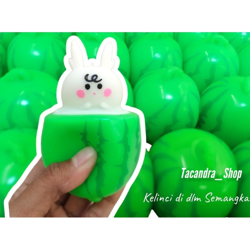 Jual Squishy Pop Up Squirrel Mainan Anak Silikon Tikus Katak Tupai ...
