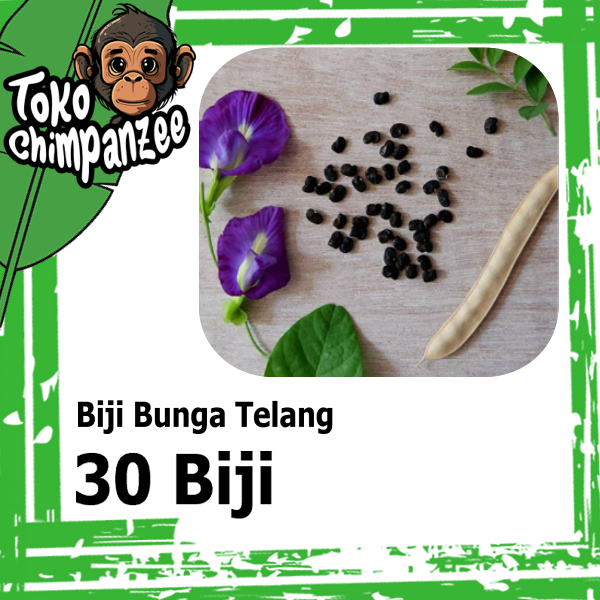 Jual Biji Bunga Telang Teleng 30 pcs siap tanam | Shopee Indonesia