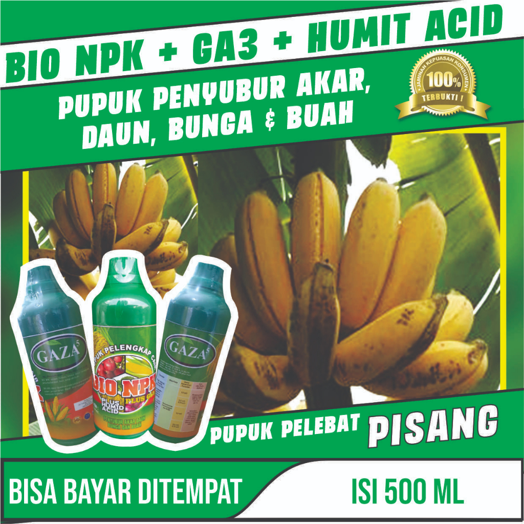 Jual Pupuk Penyubur Akar Daun Bunga dan Buah Pada Pisang Raja Sere BIO NPK Plus Silika Gaza ...