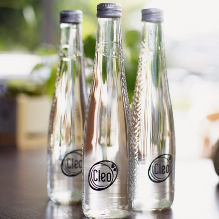 Jual CLEO GLASS 330ml x 12 BOTOL KACA (KHUSUS SAMEDAY INSTANT) | Shopee Indonesia