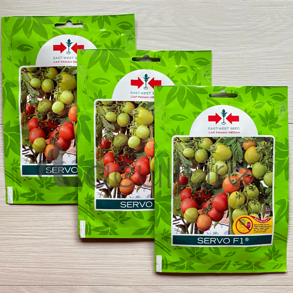 Jual Benih Tomat SERVO F1 Isi 150 Butir Cap Panah Merah | Shopee Indonesia
