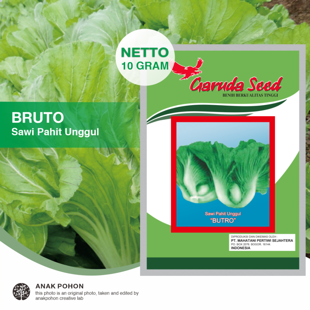 Jual (1 PACK) Benih Sawi Pahit Marokot BRUTO Unggul Seeds - Garuda Seed ...