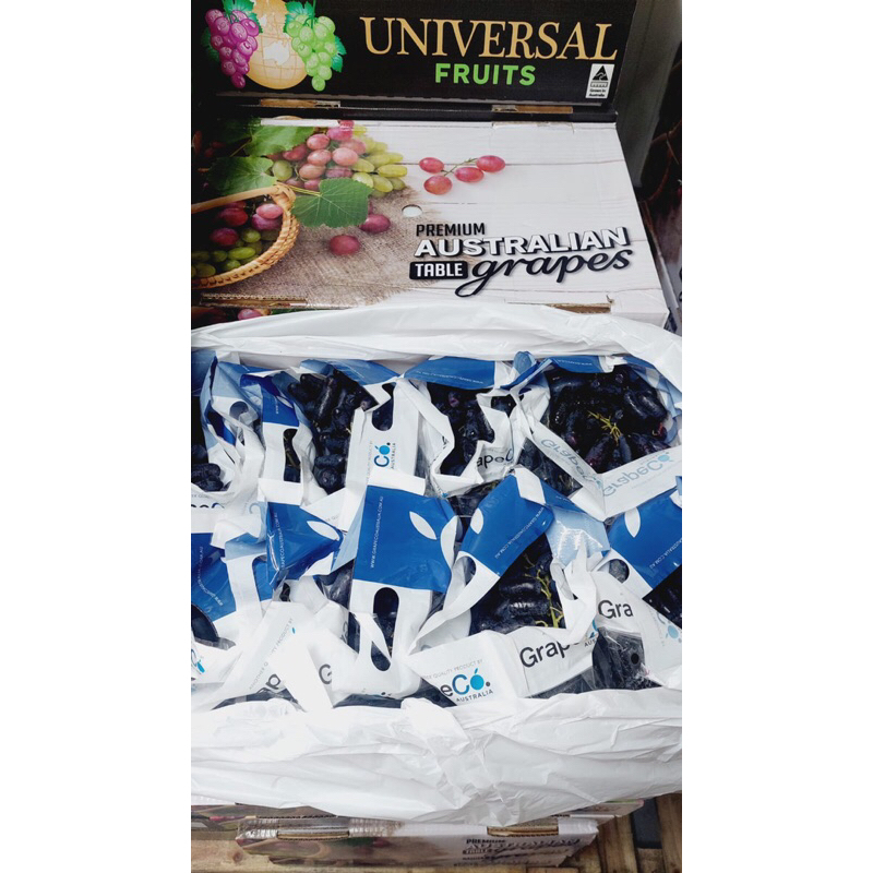 Jual Buah Anggur Moondrop Black sweet Tanpa Biji 8 Kg/ Box | Shopee ...