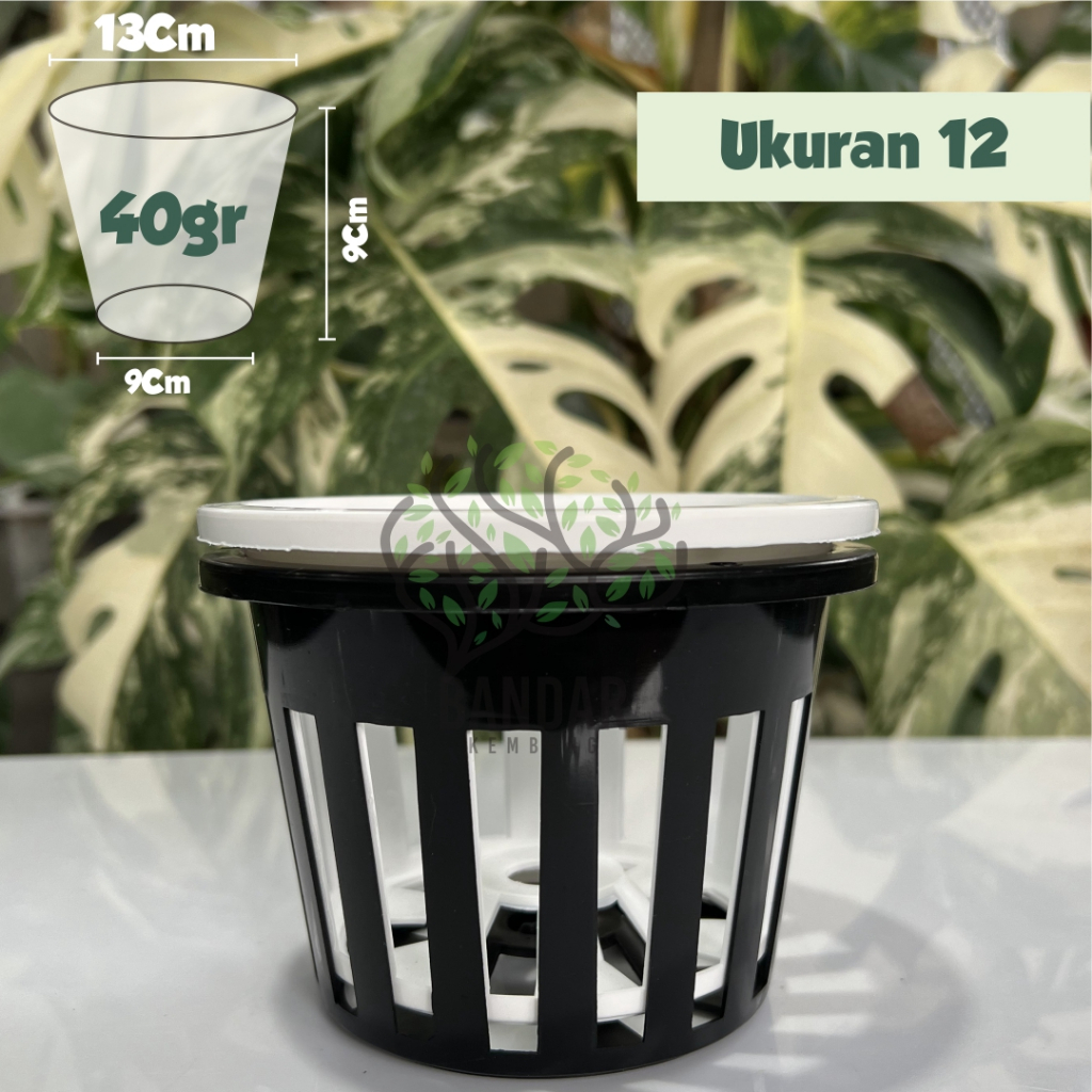 Jual Pot Anggrek Dendrobium Berbagai Macam Ukuran Pot Hidroponik Pot ...