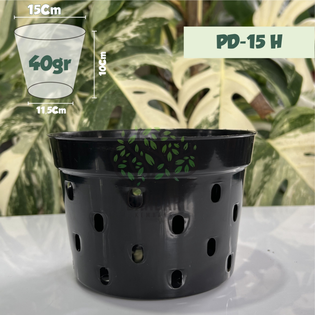 Jual Pot Anggrek Dendrobium Berbagai Macam Ukuran Pot Hidroponik Pot ...