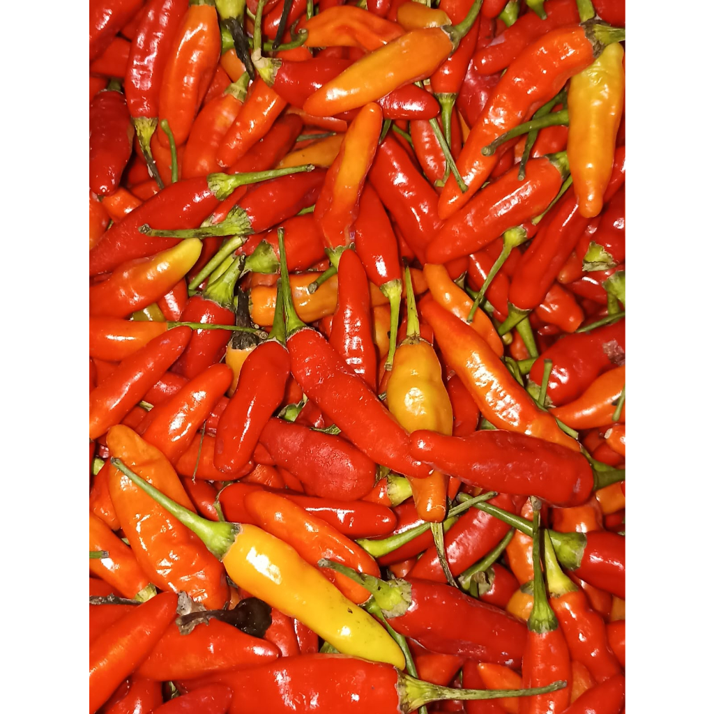 Jual CABE RAWIT MERAH FRESH 1KG | Shopee Indonesia