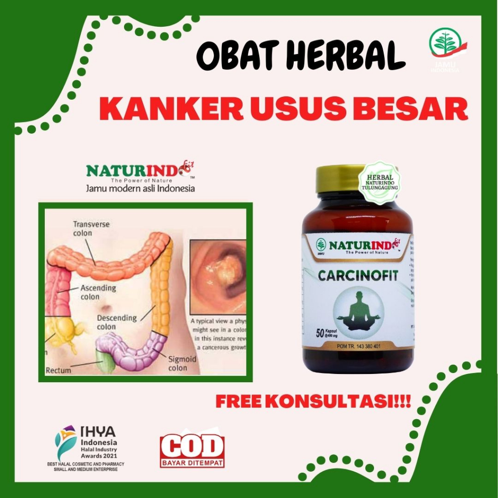 Jual Obat Kanker Usus Besar Kolon Radang Usus Benjolan Herbal Tumor ...