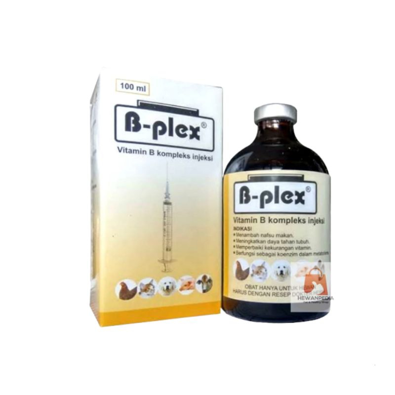 Jual B - Plex Injc 100ml / Pyridam / Vitamin B Kompleks Injeksi ...