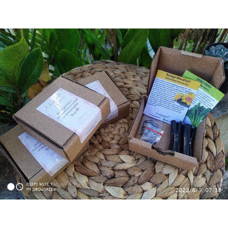 Jual PAKET SOUVENIR MENANAM TANAMAN BENIH BIBIT SAYURAN HAMPERS GIFT ...