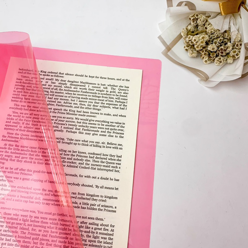 Jual MAP L BIG F4 (8113) ECER / MAP PLASTIK / CLEAR SLEVE / MAP FILE ...