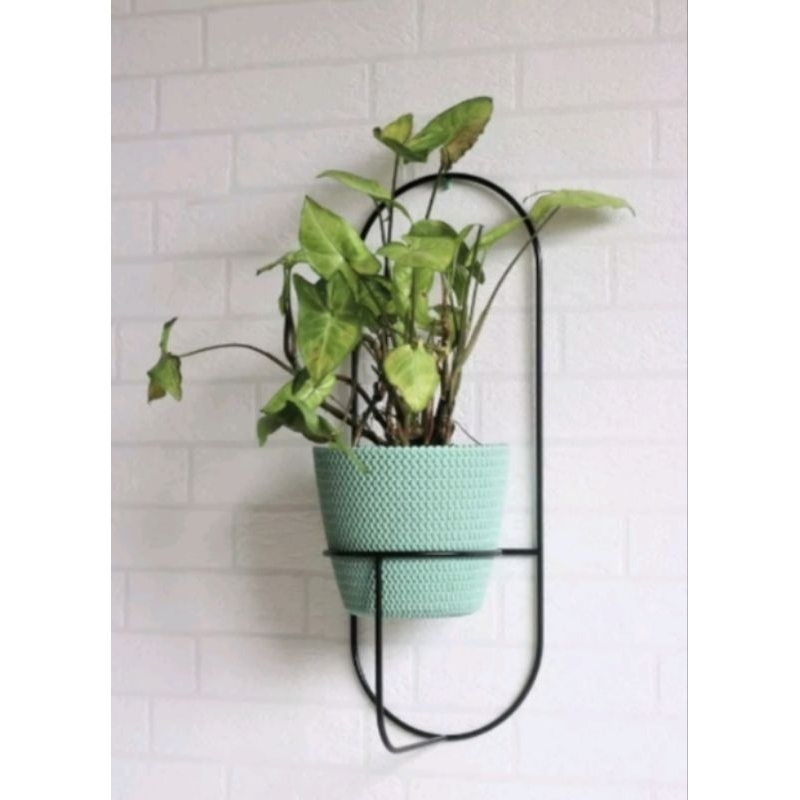 Jual pot gantung dinding/hiasan dinding dekorasi/pot gantung oval ...