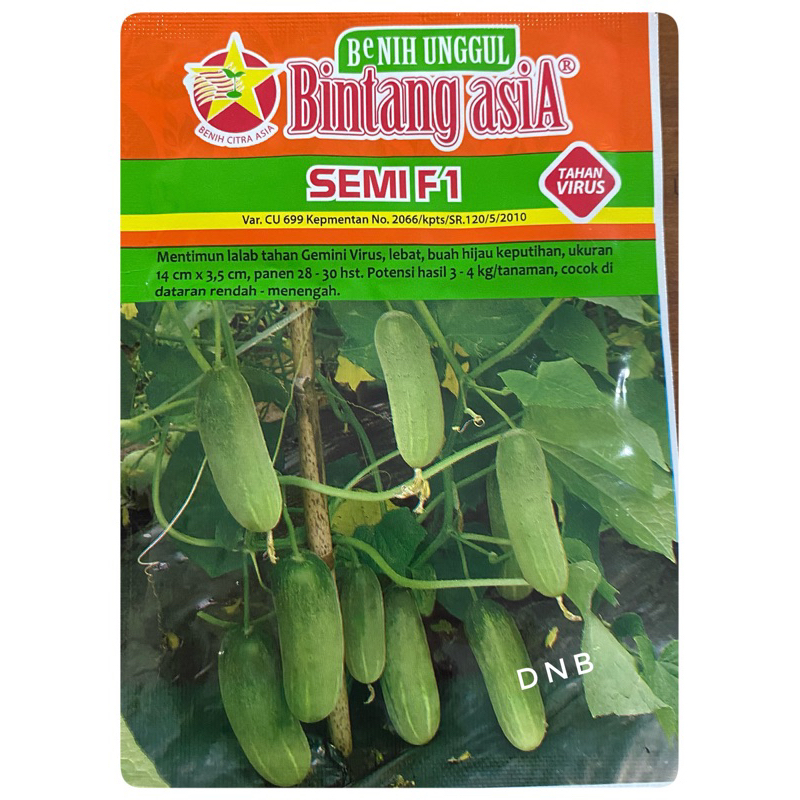 Jual Benih bibit baby timun SEMI F1 10 gram ketimun hibrida mini cocok ...