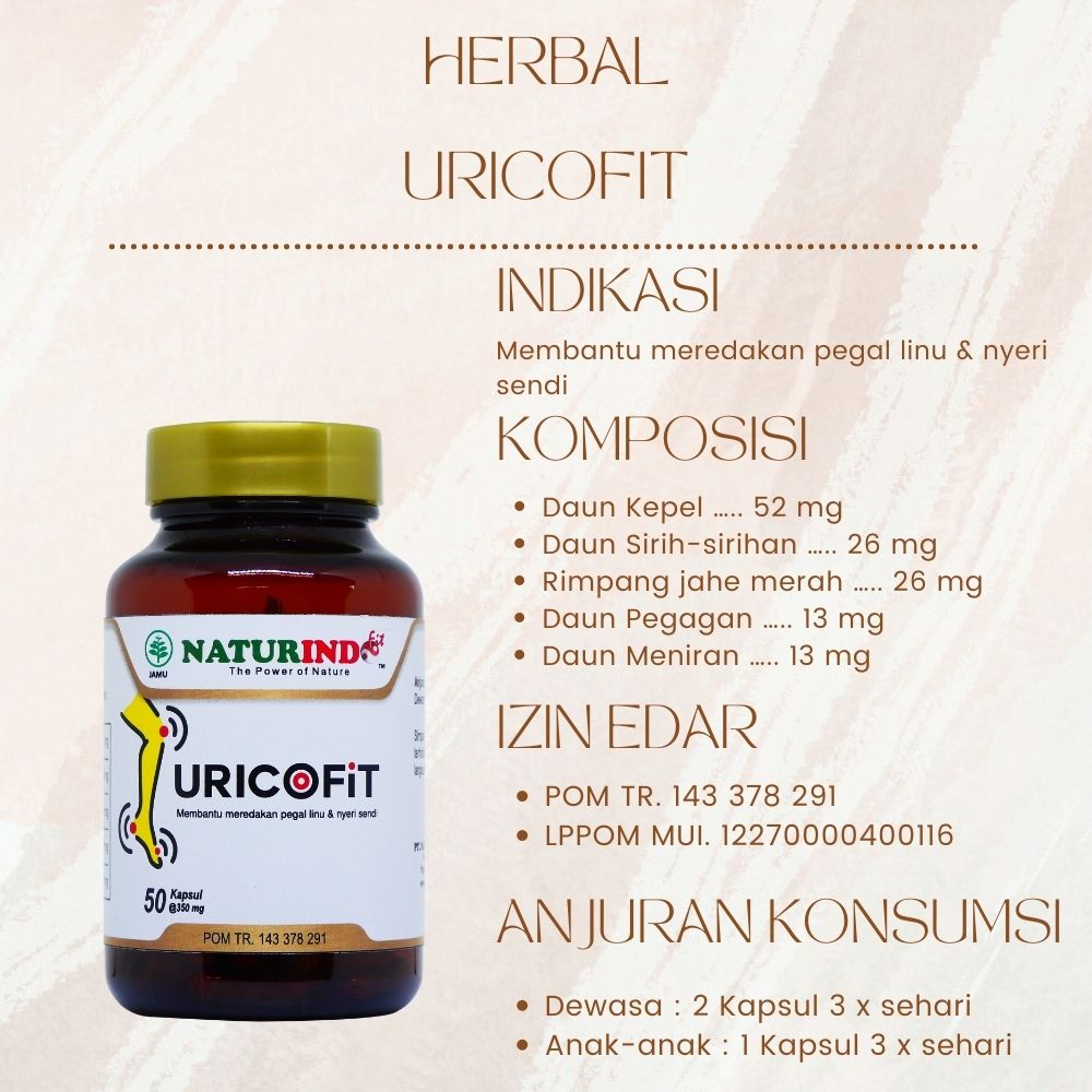 Jual Obat Herbal URICOFIT Naturindo (Membantu Meredakan pegal Linu dan ...