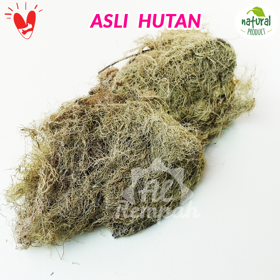 Jual Kayu Angin Kering Organik 250gr Asli Hutan | Shopee Indonesia