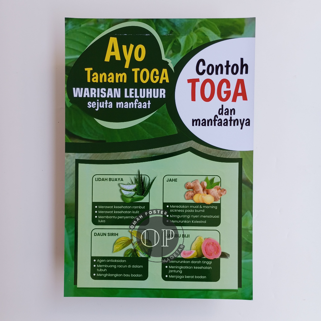 Jual Poster Ayo Tanam Toga - Contoh Toga dan Manfaatnya - Poster ...