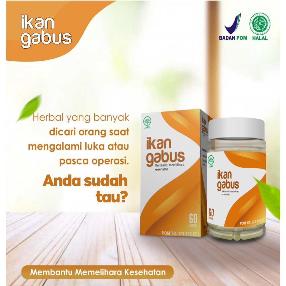 Jual Kapsul Ikan Gabus Al-Afiat 60 Kapsul | Shopee Indonesia