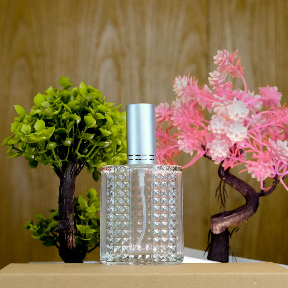 Jual OLLA CLASSIC Inspired by Ami Ali Parfum | Shopee Indonesia