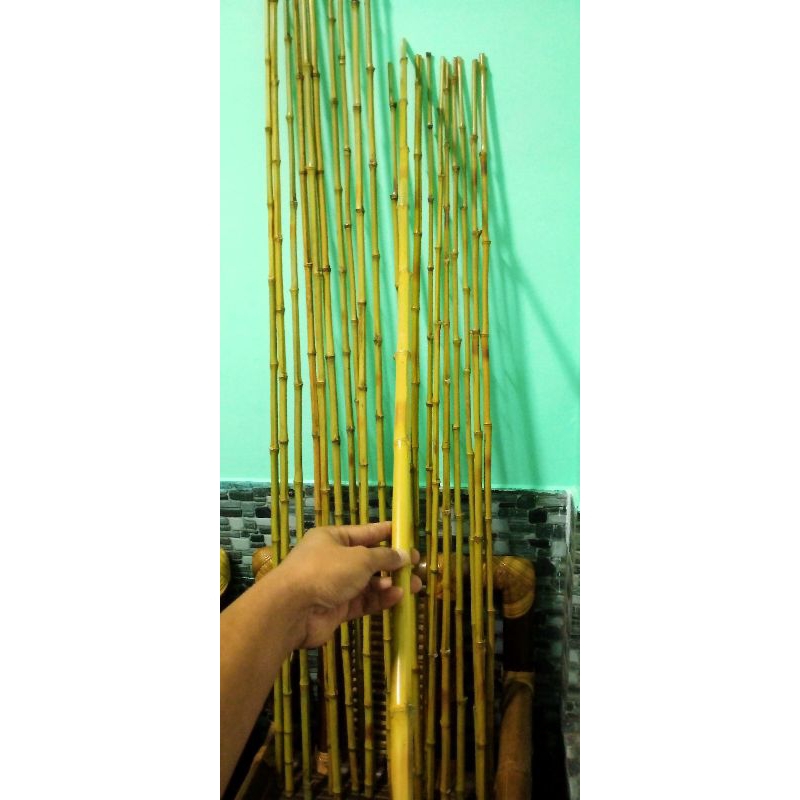 Jual Batang bambu cendani stick Bamboo bambu dekorasi | Shopee Indonesia