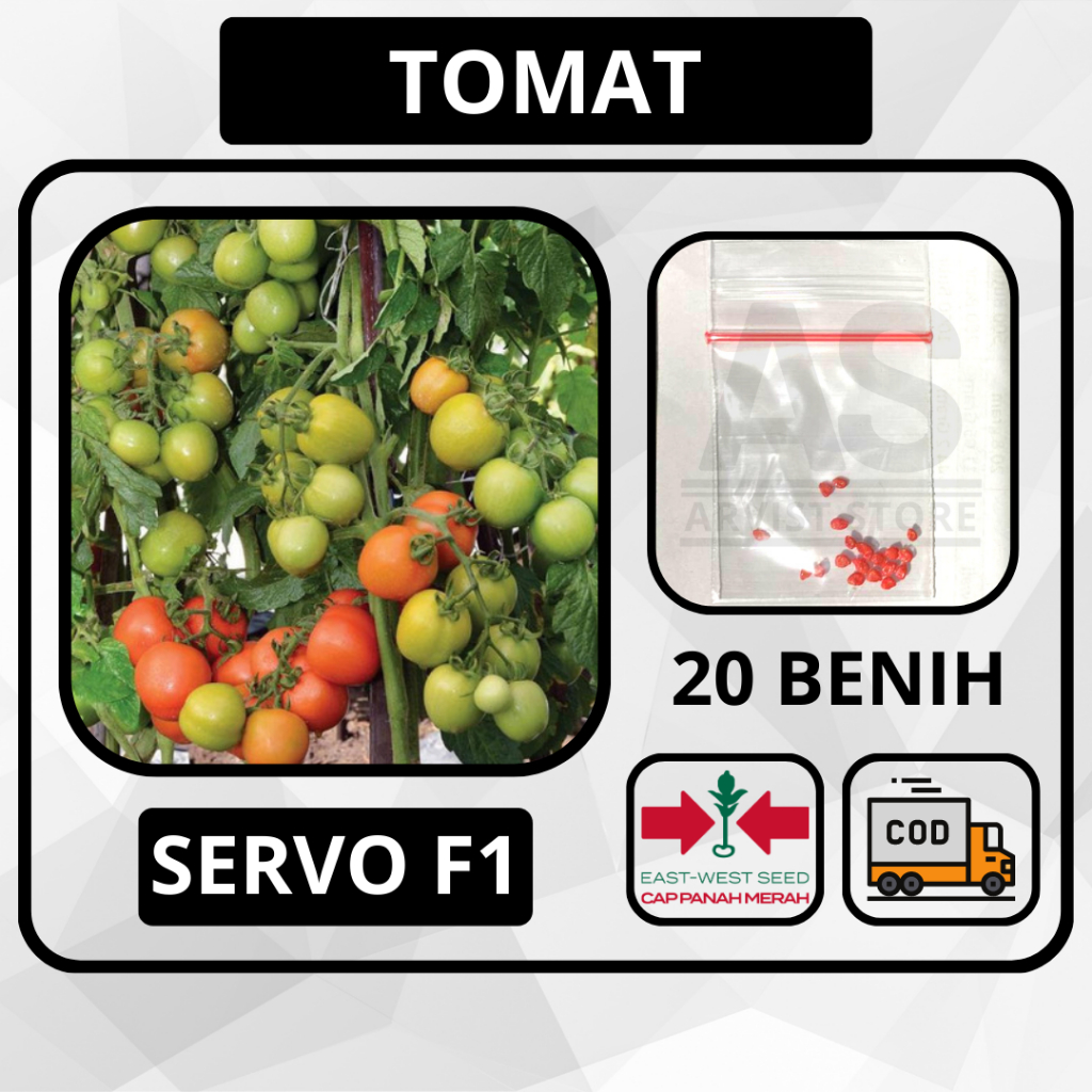 Jual 20 Butir - Benih TOMAT SERVO F1 Cap Panah Merah Bibit Sayuran ...