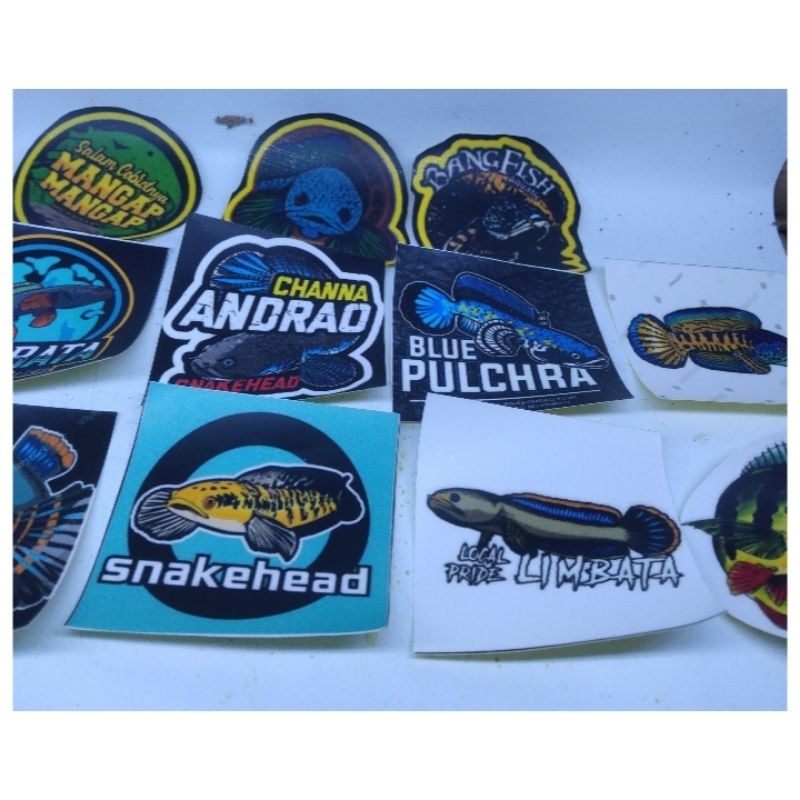 Jual (30pcs) stiker channa glossy anti air/ stiker ikan predator murah ...