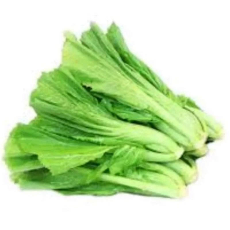 Jual Sawi pahit fresh 250gr | Shopee Indonesia