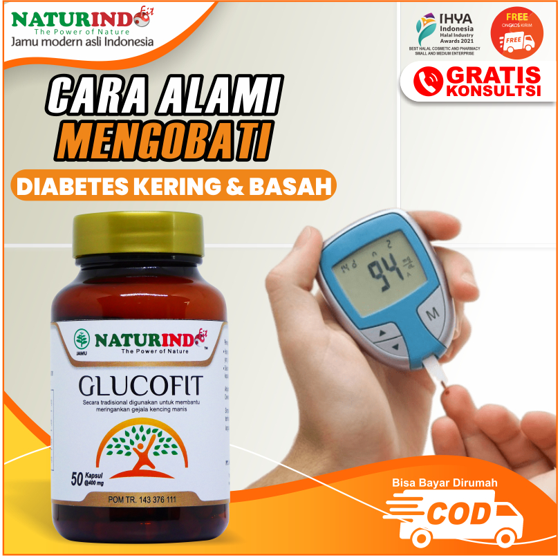 Jual OBAT DIABETES HERBAL GULA DARAH TINGGI HERBAL JAMU DIABET DIABETES ...