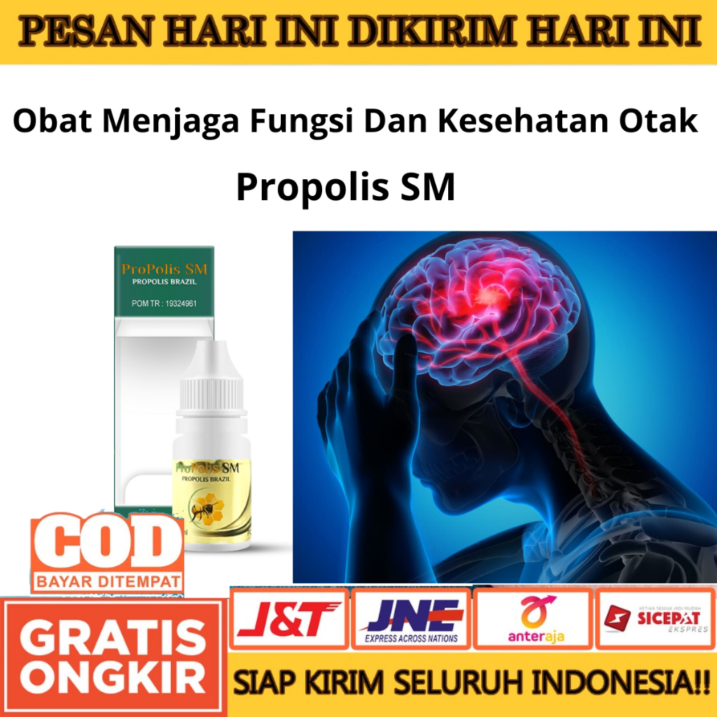Jual Propolis SM Obat Yang Berfungsi Menjaga Fungsi Dan Tubuh Aman ...