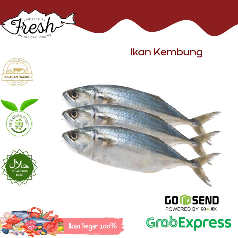 Jual IKAN KEMBUNG FRESH 1kg | Shopee Indonesia