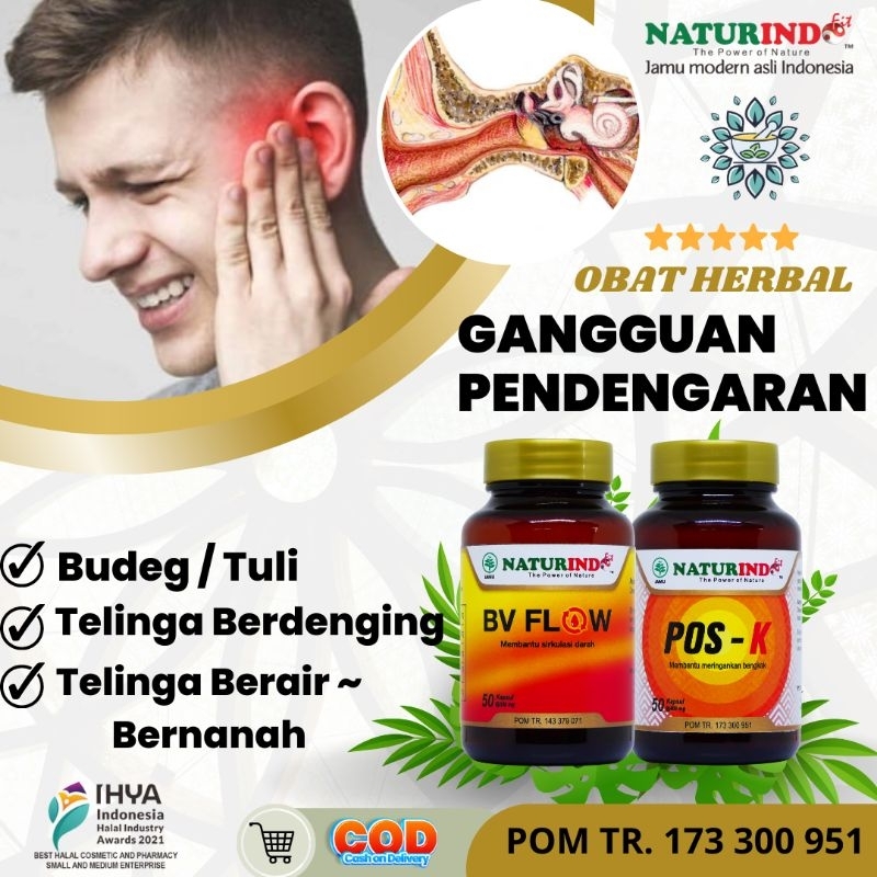 Jual Obat Budeg Tuli Gangguan Pendengaran Telinga Berair Bernanah ...