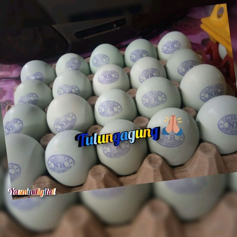 Jual stempel telur asin cekung | Shopee Indonesia