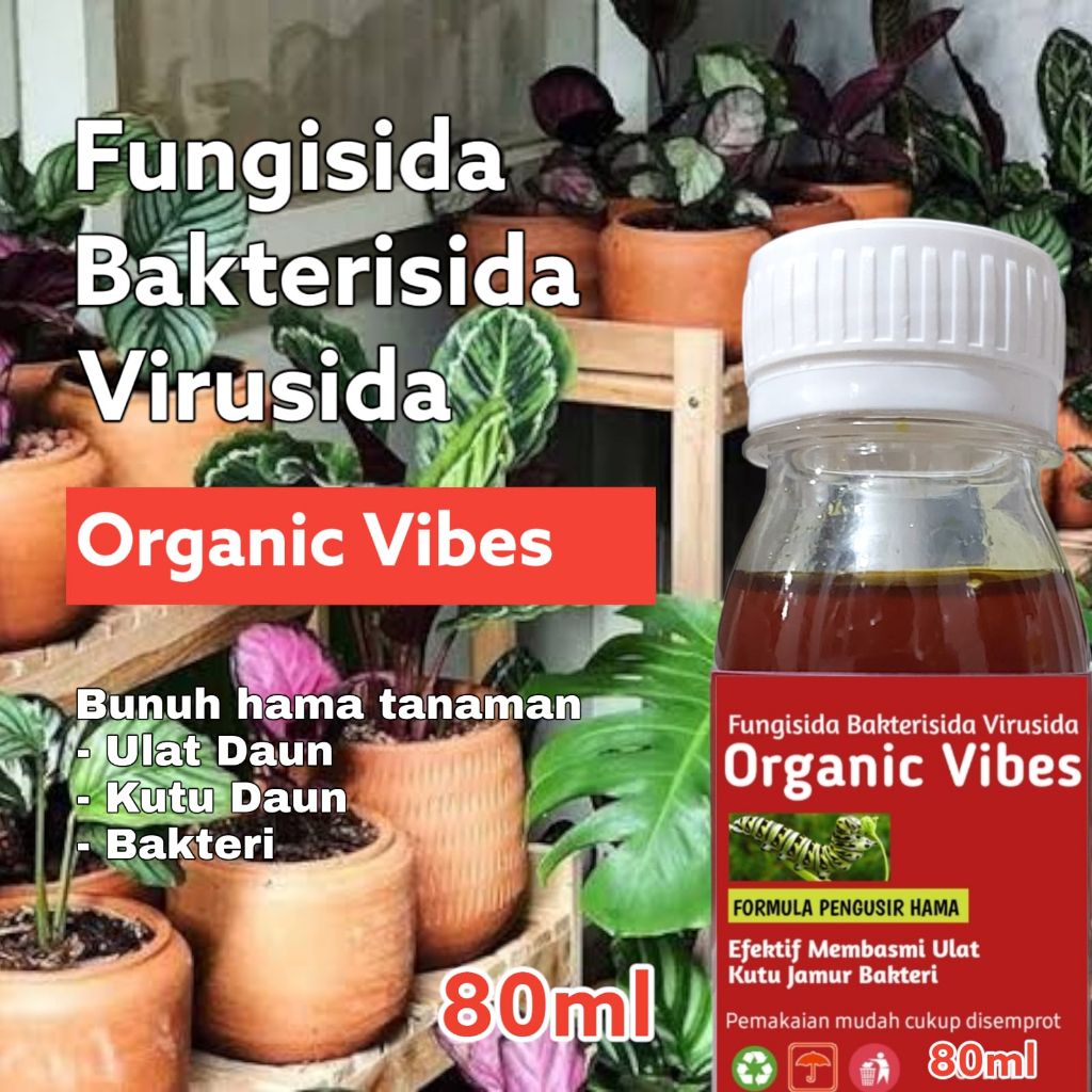 Jual Fungisida Bakterisida Virusida Untuk Tanaman Organik Vibes 80ml ...