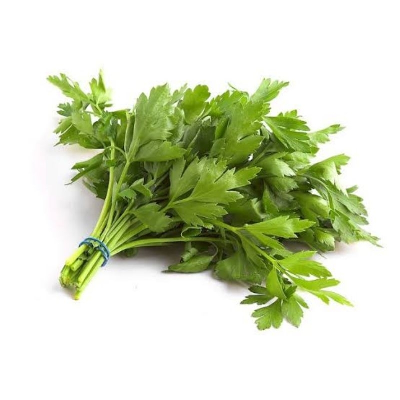 Jual Daun seledri/daun sop segar (Kirim instan) | Shopee Indonesia