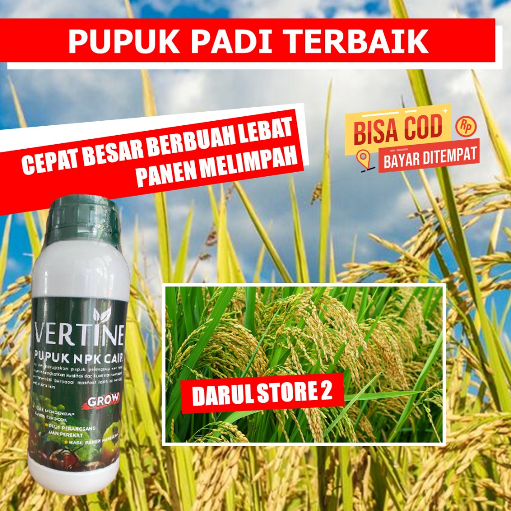 Jual PUPUK PERBANYAK PADI BERBOBOT BERISI BULIR BESAR VERTINE NPK CAIR PUPUK ORGANIK CAIR HAYATI ...