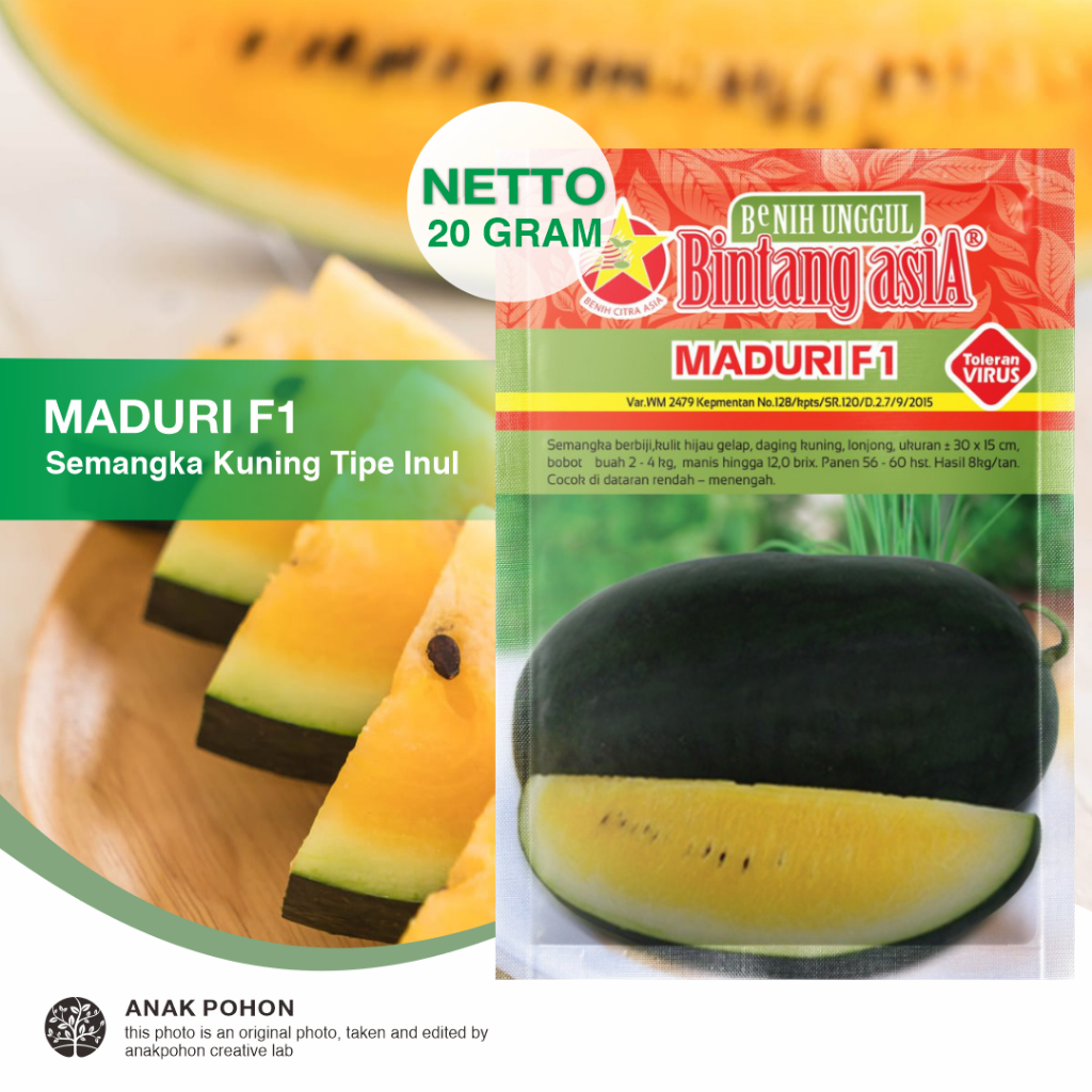 Jual (1 PACK) Benih Semangka MADURI F1 Kuning Tipe Inul Hibrida Seeds - BINTANG ASIA - 20 GRAM ...