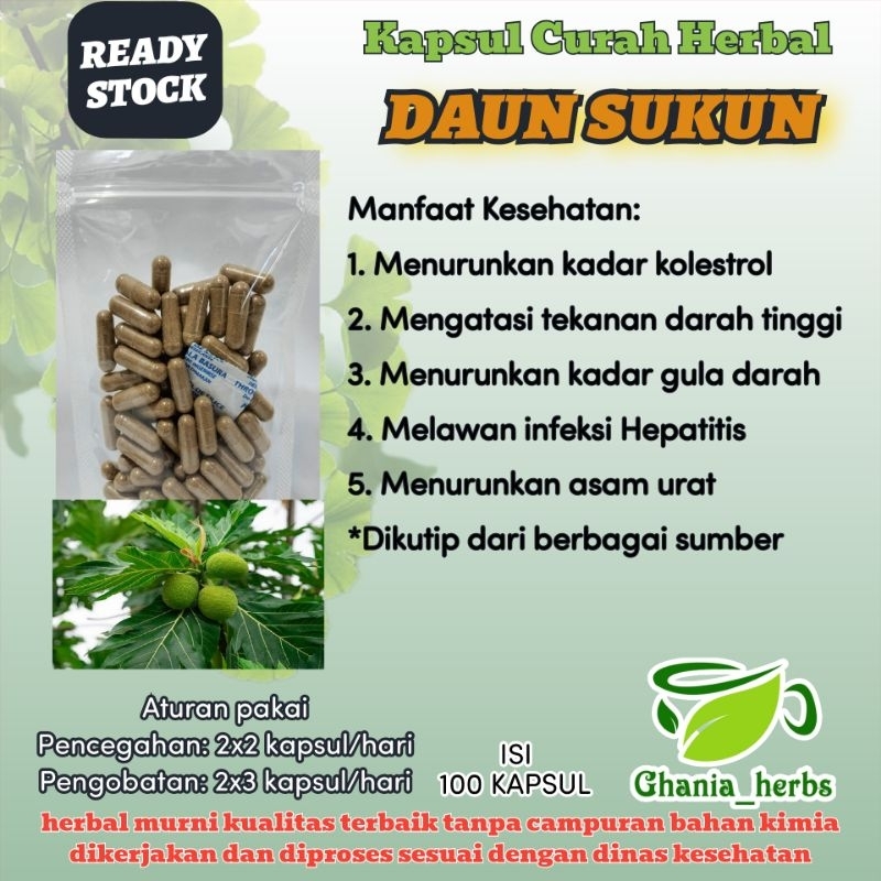 Jual Herbal Curah Daun Sukun isi 100 kapsul | Shopee Indonesia