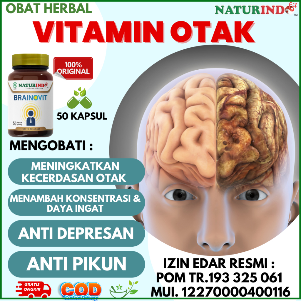 Jual Vitamin Otak Dewasa Suplemen Otak Penambah Konsentrasi Daya Ingat ...