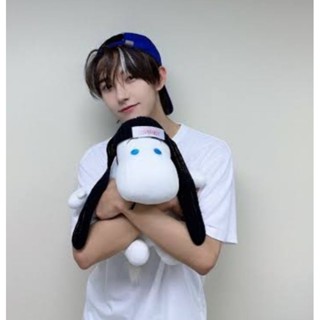 Jual BONEKA MOOMIN ORI RENJUN NCT / MOOMIN ORIGINAL | Shopee Indonesia