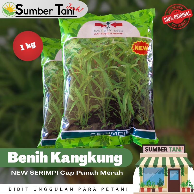 Jual Benih Kangkung NEW SERIMPI Kemasan 1kg Cap Panah Merah | Shopee ...