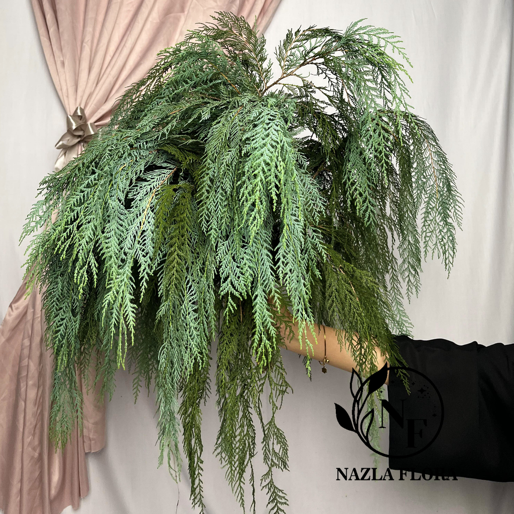Jual NAZLA Daun Potong Cemara Juntai Hidup Segar | Shopee Indonesia