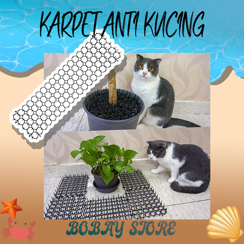 Jual Duri Pengusir Kucing Tembok Pohon Anti Kucing Elastis | Shopee ...