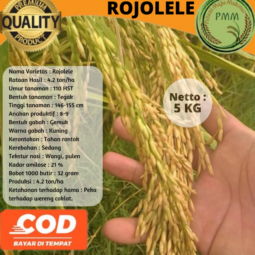 Jual Biji Padi Unggul Rojolele/Rojo Lele 5KG | Shopee Indonesia