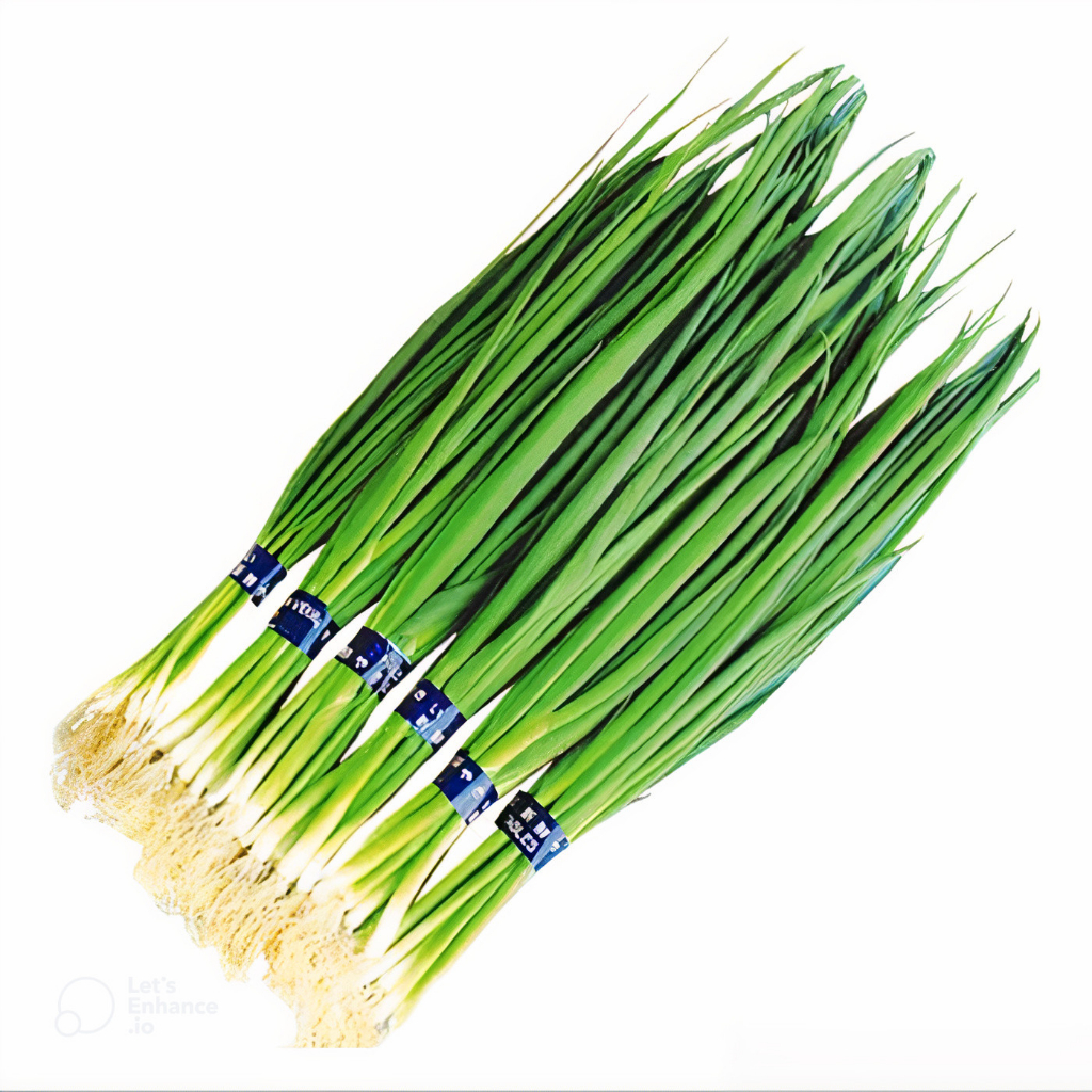 Jual DAUN BAWANG CUNG/LOKIO PER 2 IKAT & CHIVES DAUN KUCAI | Shopee ...