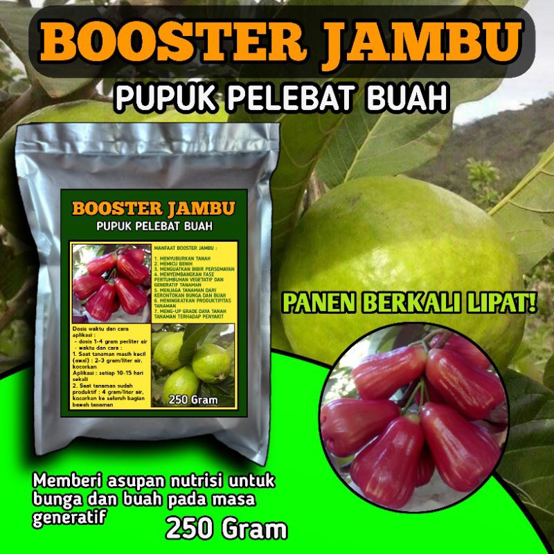 Jual Pupuk booster pelebat buah jambu nutrisi untuk bunga dan buah anti rontok kemasan 250 gram ...