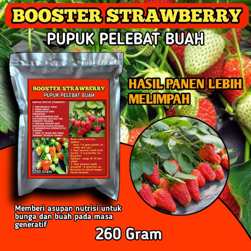 Jual Pupuk booster pelebat buah strawberry nutrisi untuk bunga dan buah anti rontok kemasan 250 ...