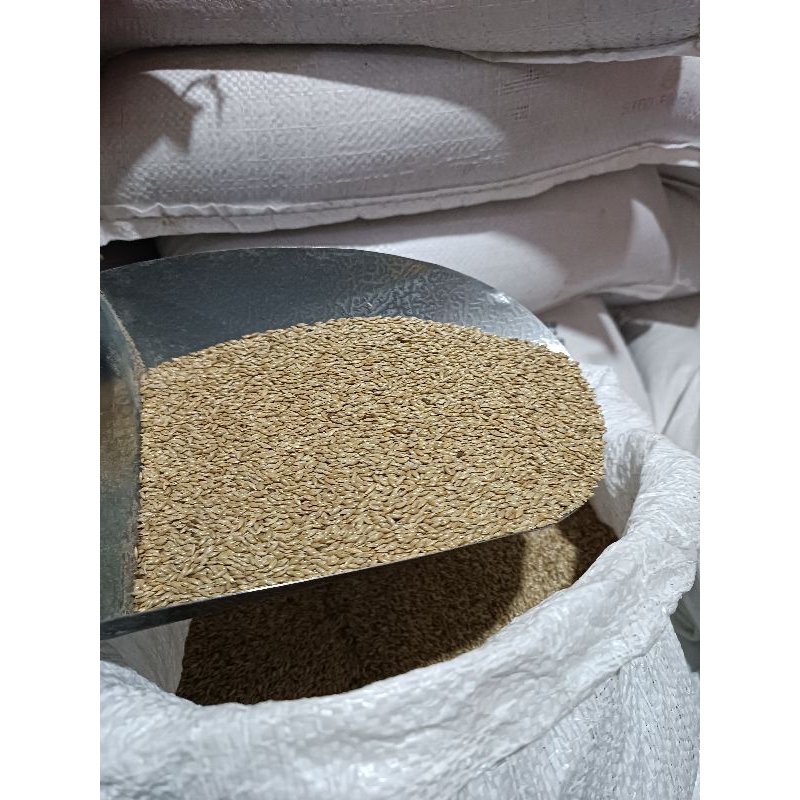 Jual Kenari Seed|Pakan Burung Canary Seed Kualitas Premium Kiloan ...