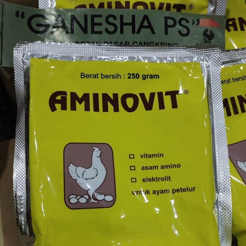 Jual AMINOVIT 250 gram, Vitamin dan Asam Amino | Shopee Indonesia