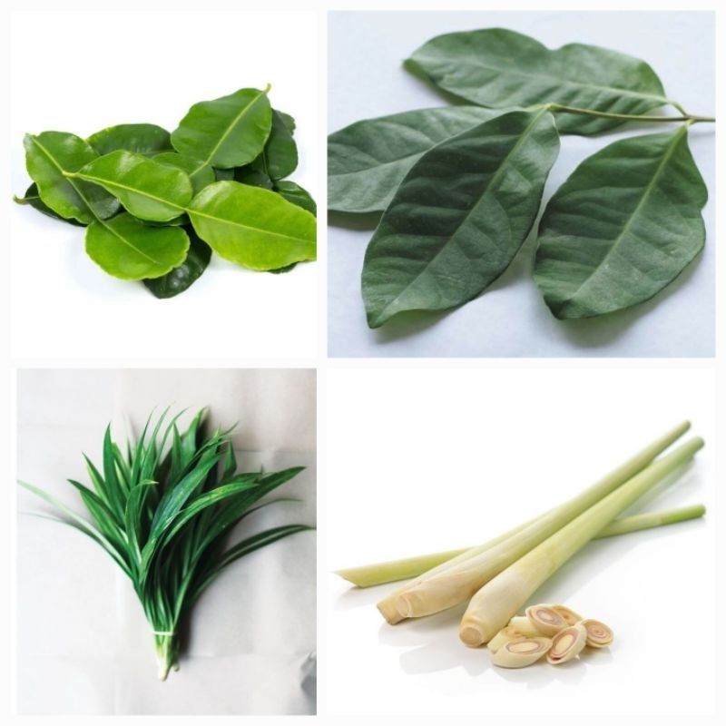Jual Daun Jeruk | Daun Salam | Daun Pandan | Daun sereh | Shopee Indonesia