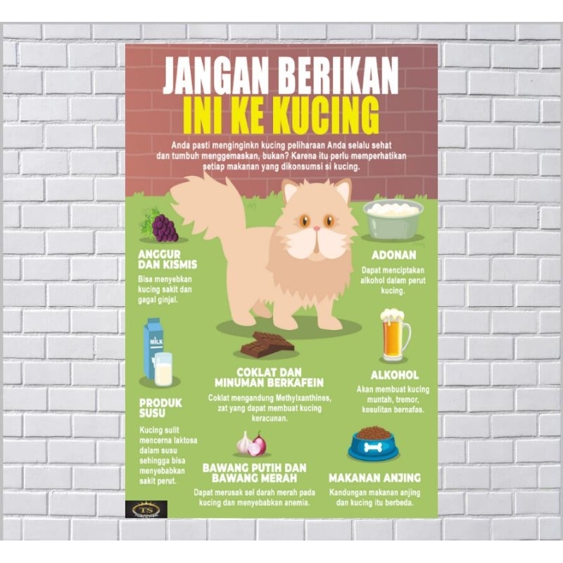Jual Poster Kesehatan Jangan Berikan Ini Ke Kucing | Shopee Indonesia